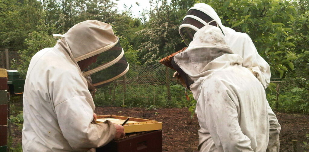 Beekeeping methods – Imkerij De Driest